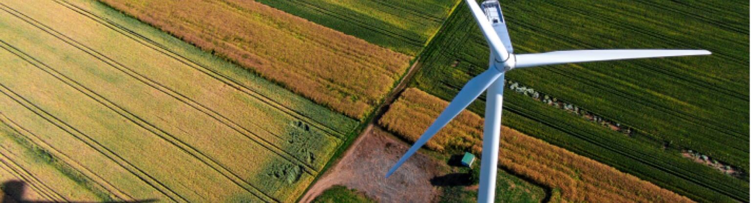 Cyclone Preparedness for Renewable Energy Projects