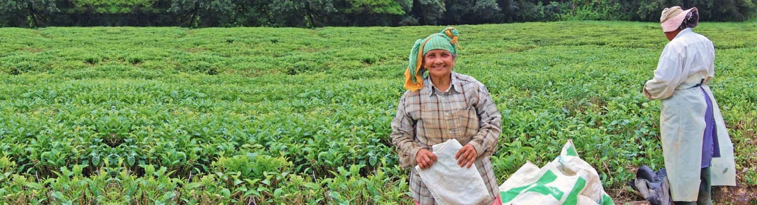 Sustainable, Climate Resilient Water Supply in Northern Mauritius