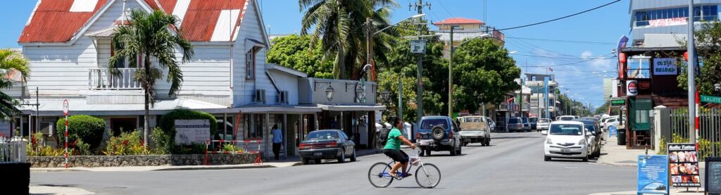 Roadmap for Infrastructure Resilience in Tonga