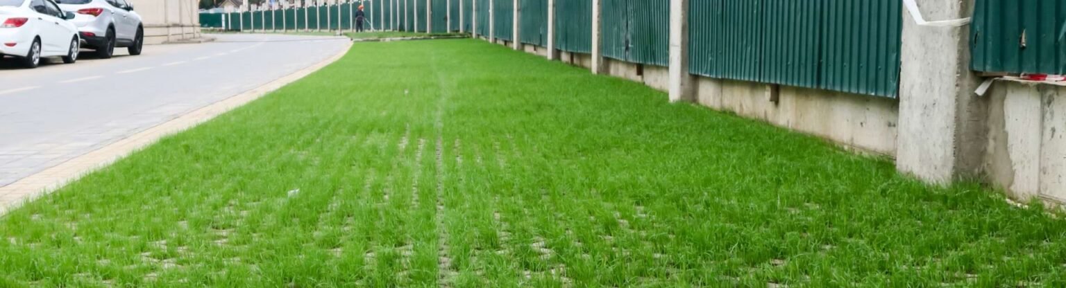 Evaluating Nature-Based Solutions for Rainfall-Runoff Reduction