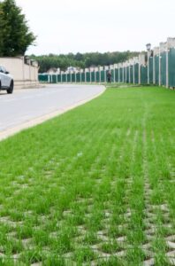 Evaluating Nature-Based Solutions for Rainfall-Runoff Reduction